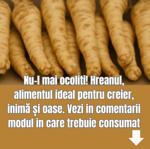 Hreanul alimentul perfect pentru creier inima si oase Iata cum se ...
